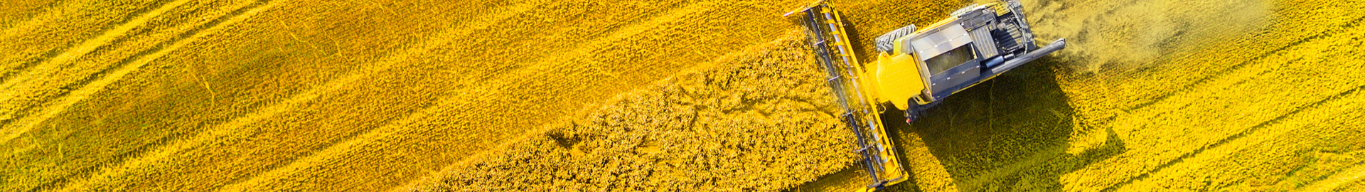 Bioheat Resources - Rhoads Energy